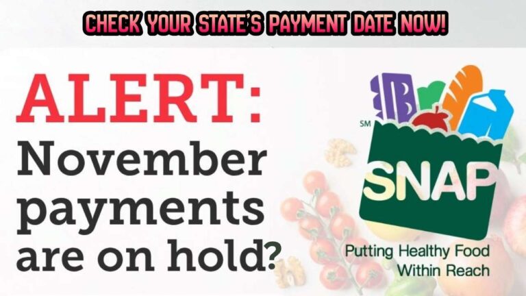 SNAP Benefits in November 2025: Check Your State’s Payment Date Now ...